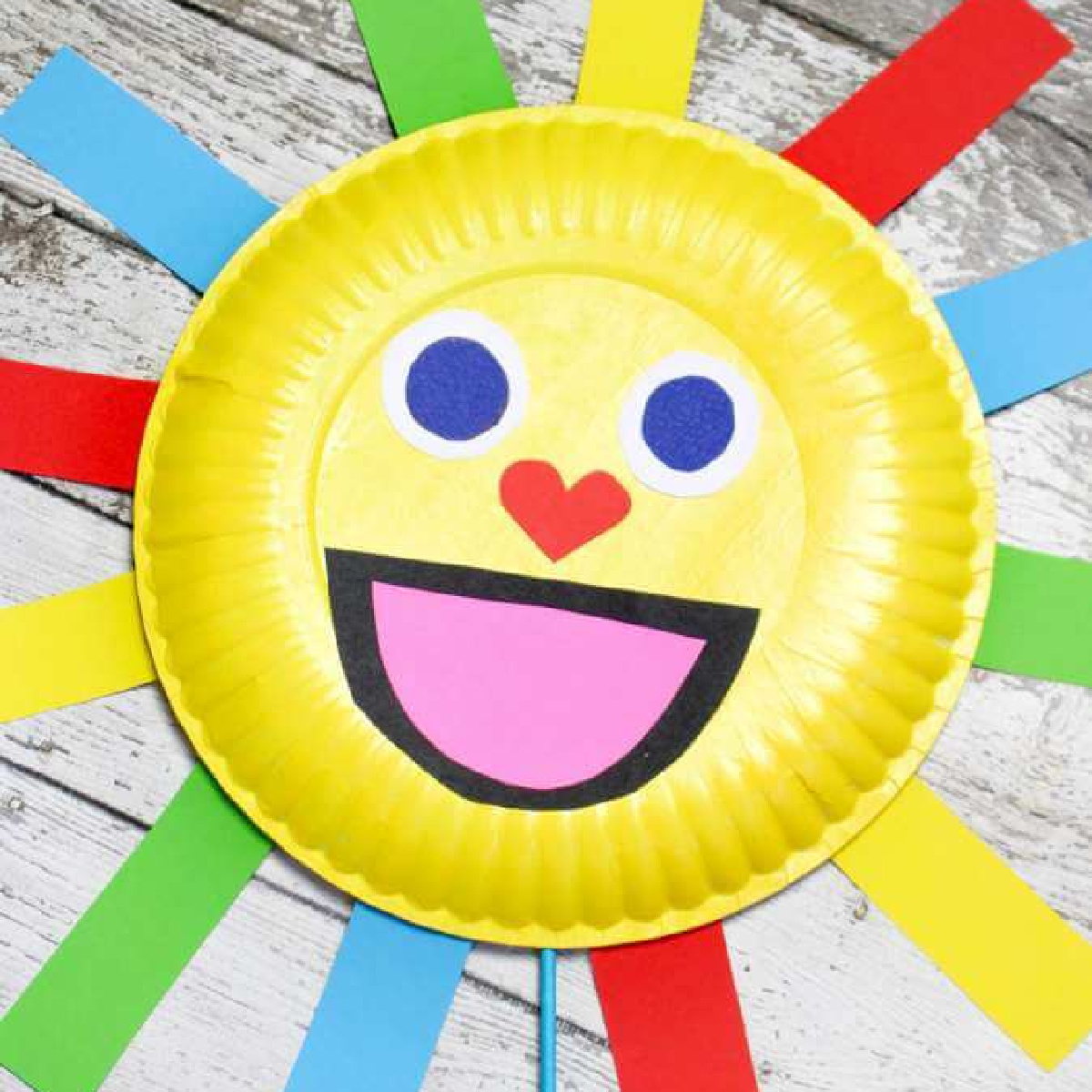 Paper Plate Face Ideas