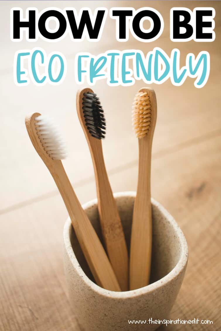 Be More Eco-Friendly at Home | The Inspiration Edit