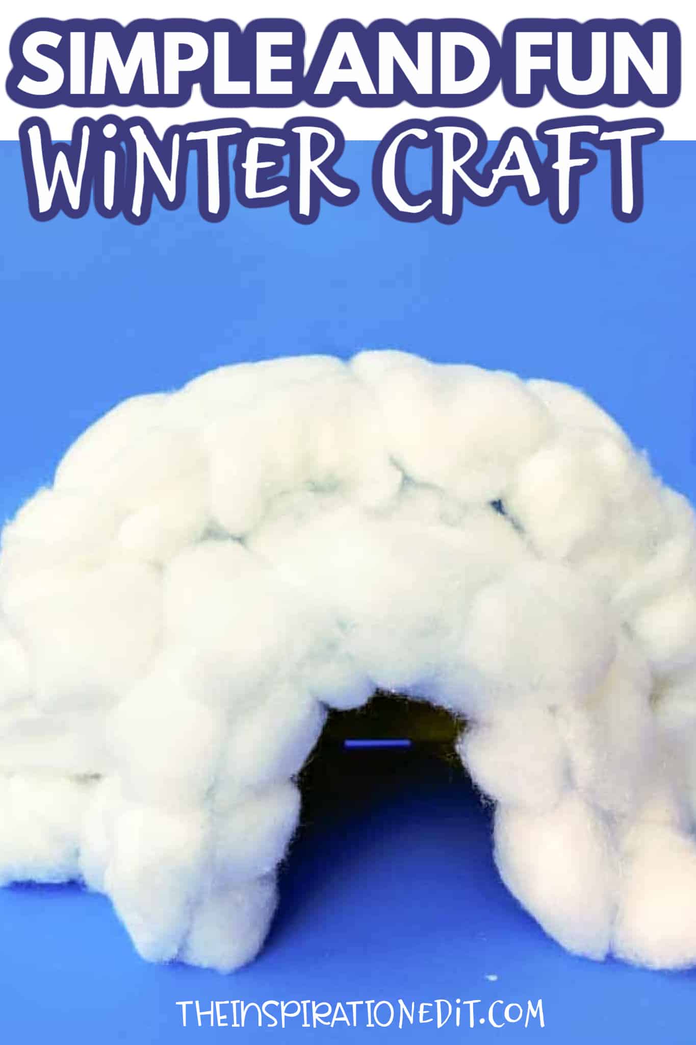Igloo Craft
