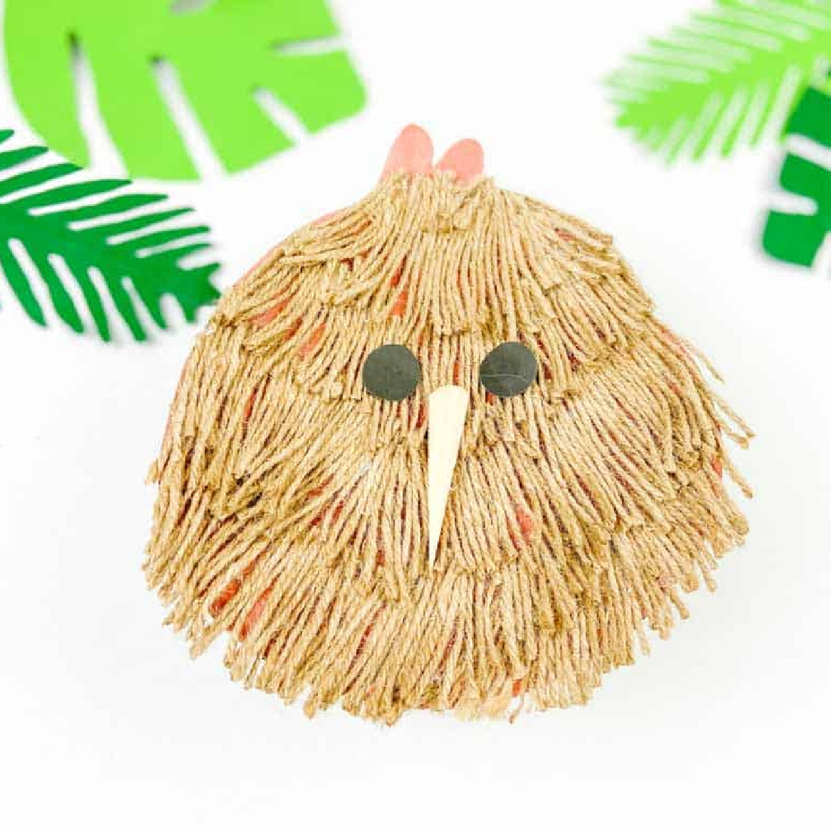 Paper Plate Kiwi Craft and Kiwi Facts | The Inspiration Edit