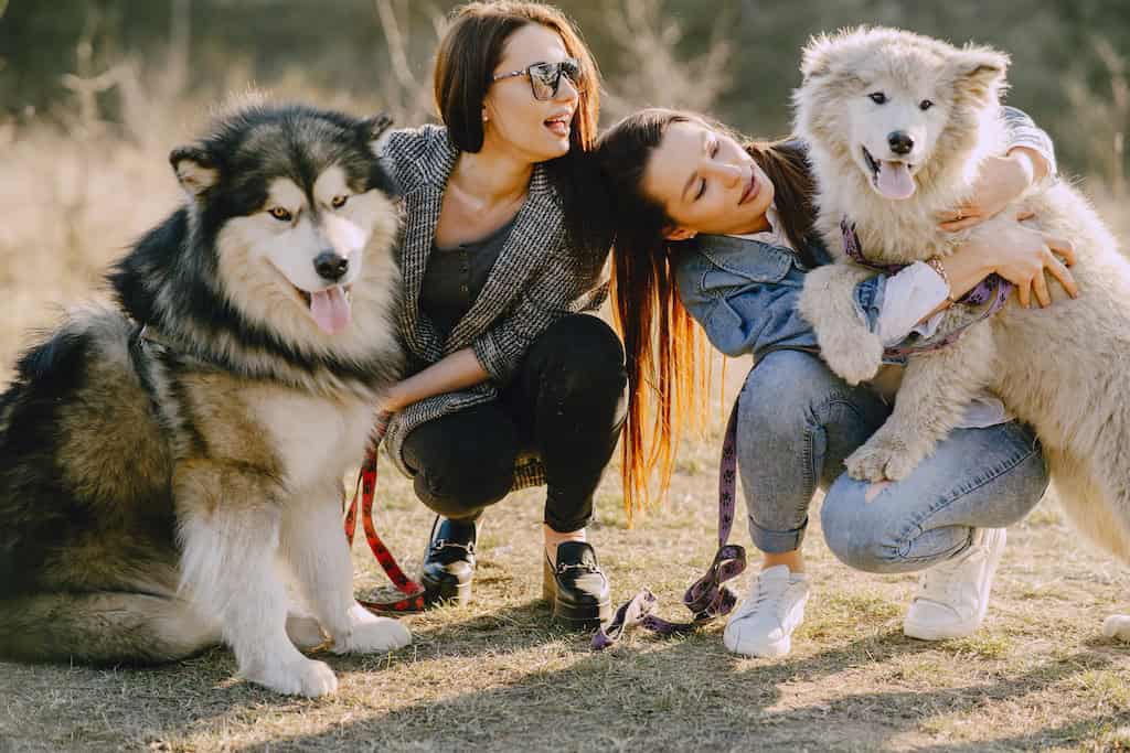 How to Read Your Dog’s Body Language | The Inspiration Edit