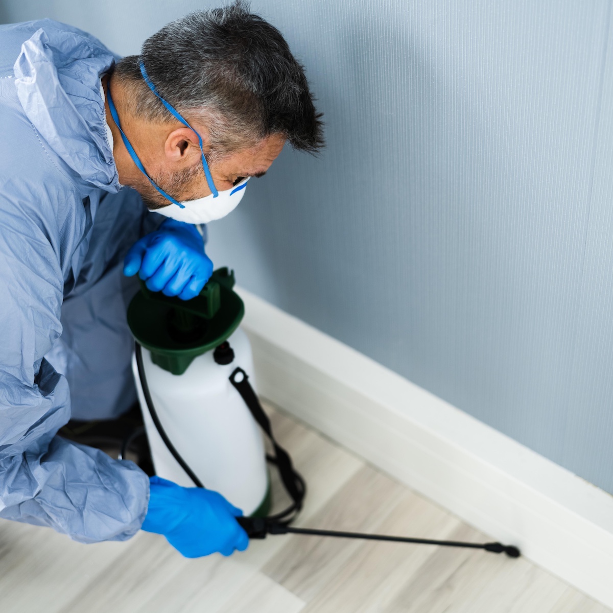 Signs Your Home Needs a Termite Inspection | The Inspiration Edit