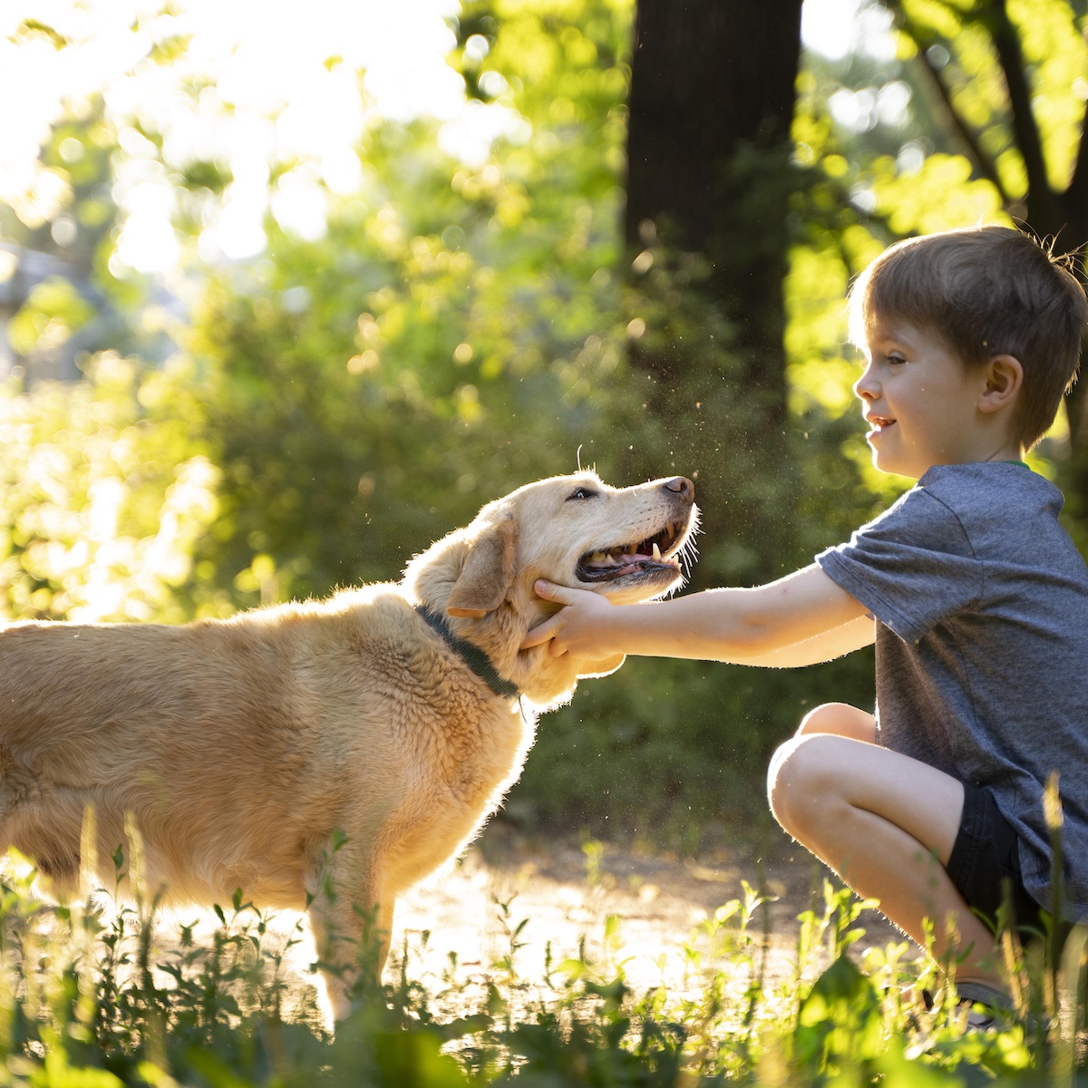 Teaching Kids How to Safely Interact with Dogs | The Inspiration Edit