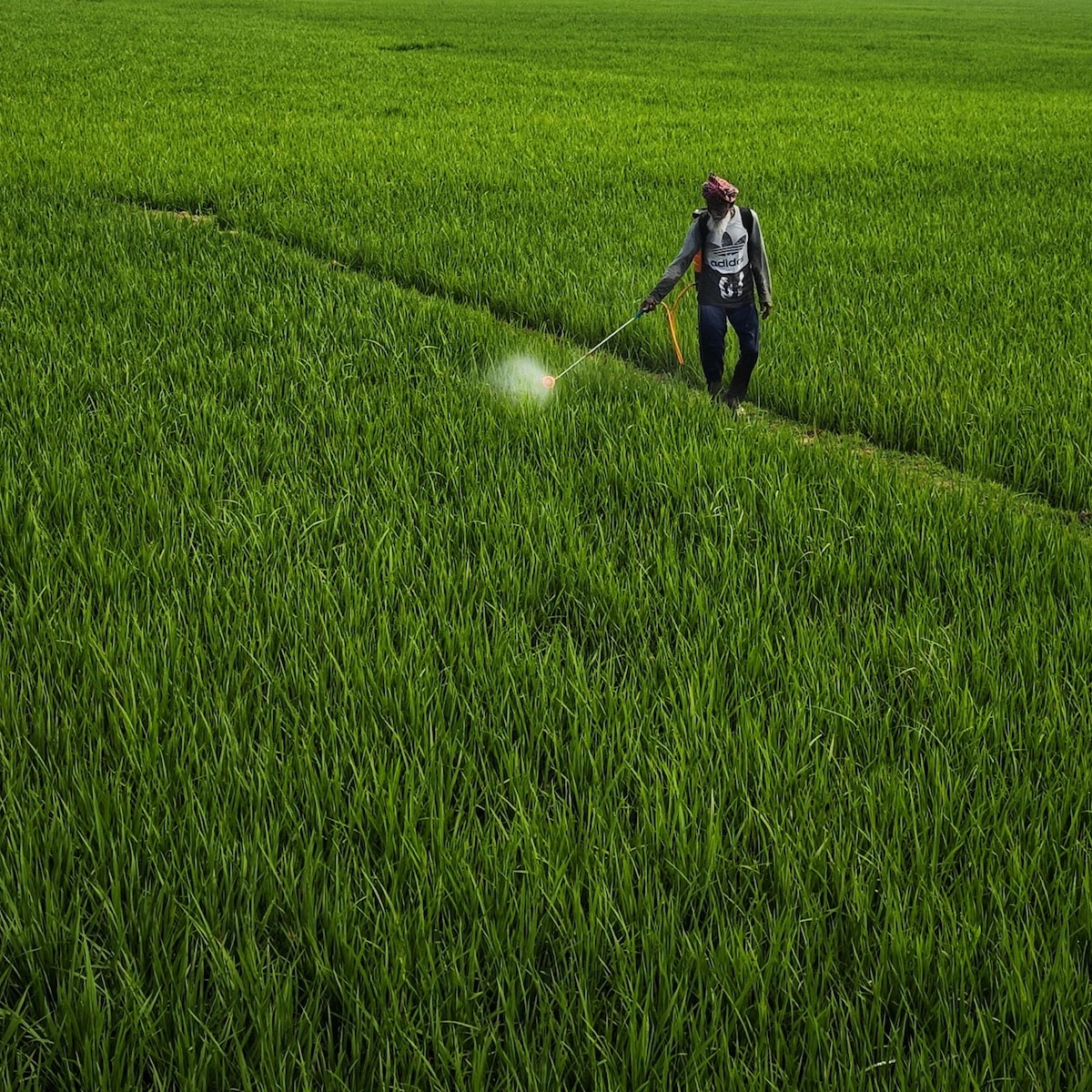 Implementing Proven and Reliable Plant Control Methods | The ...