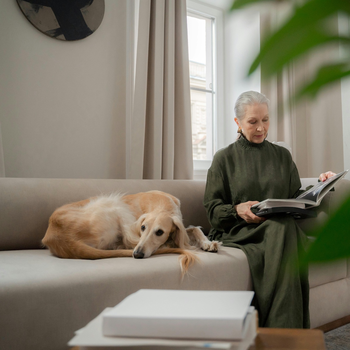 How Empowered Midlife Women Create an Energy-Conscious Home | The ...