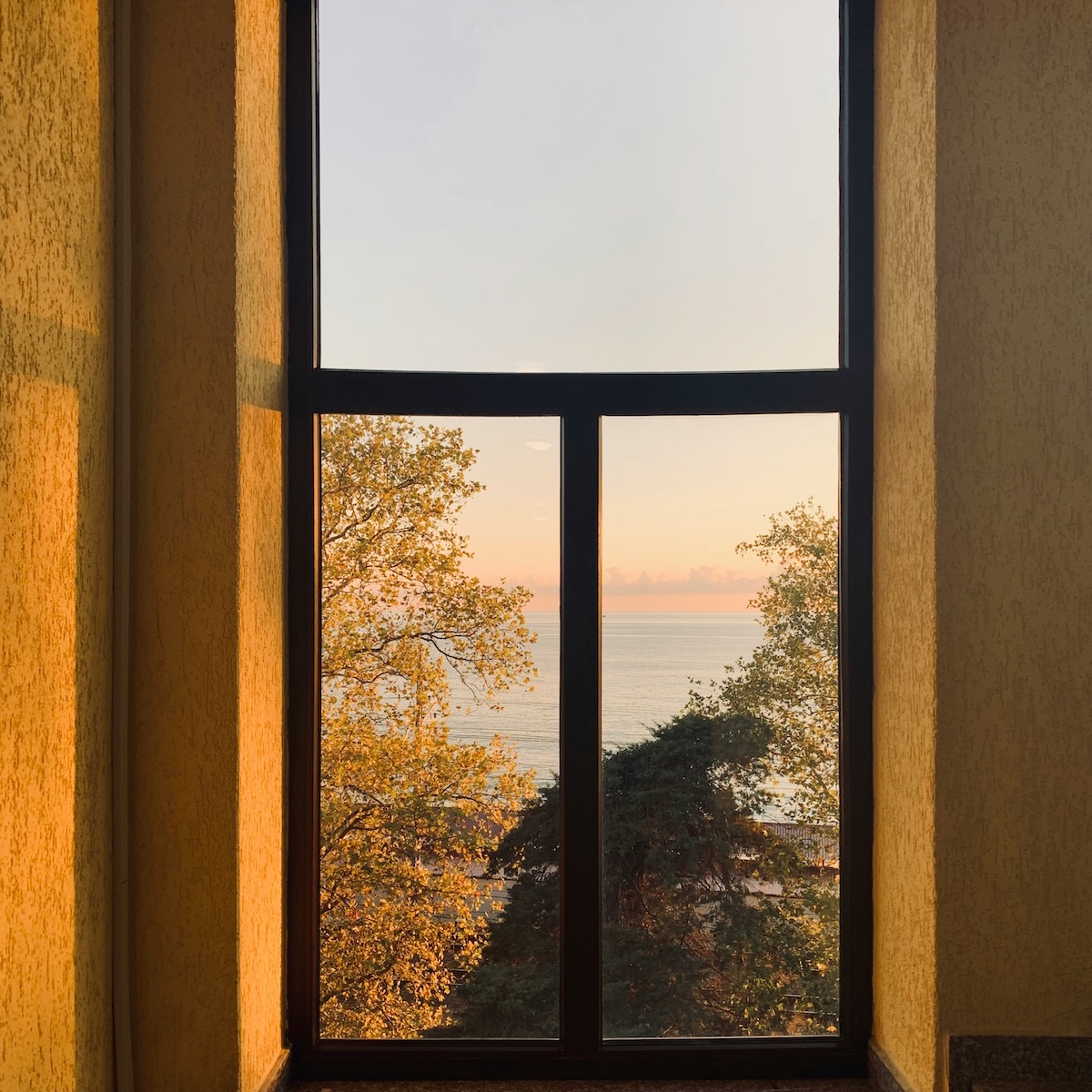Tips for Choosing the Perfect Windows for Your Home | The Inspiration Edit
