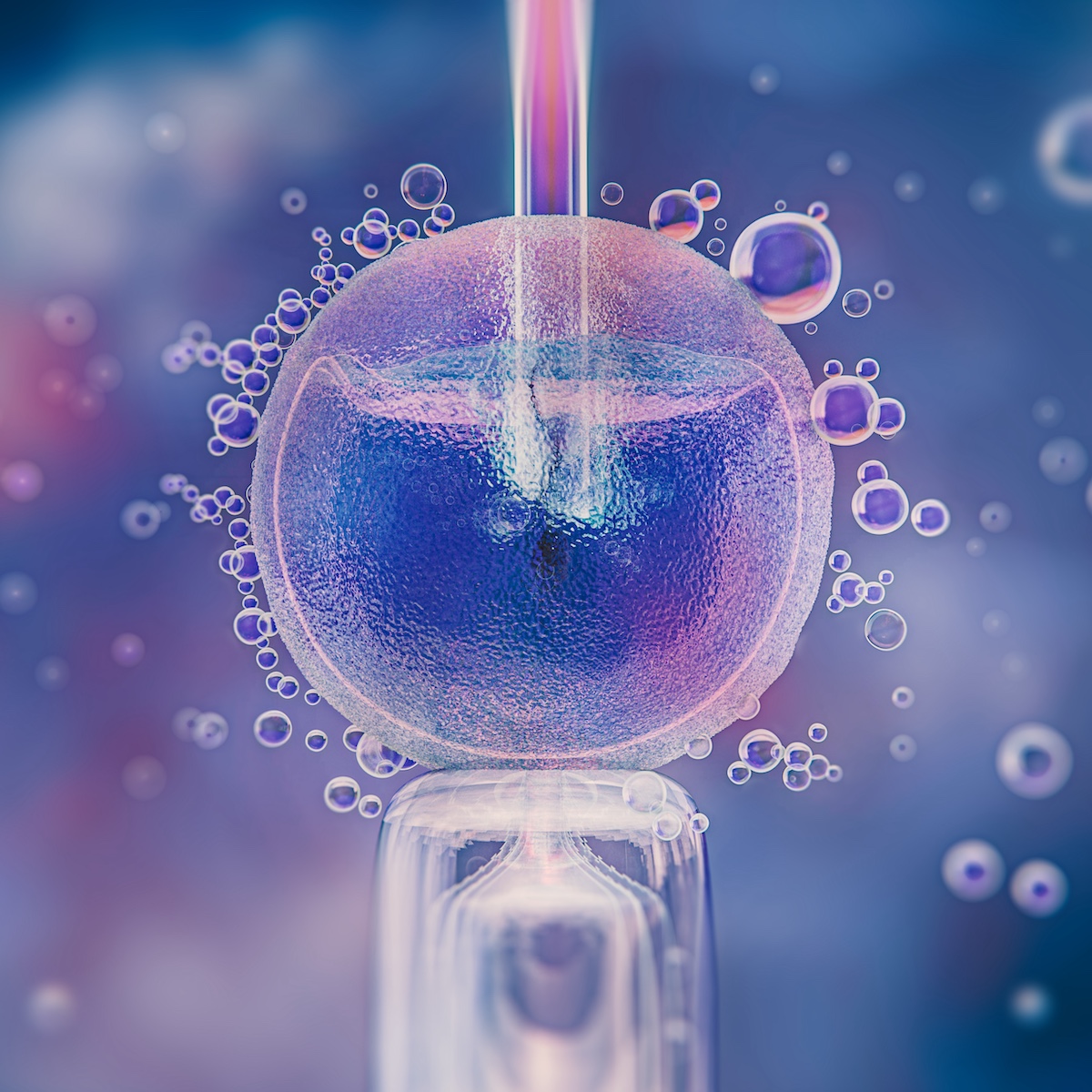 What Happens to Embryos in an IVF Lab | The Inspiration Edit