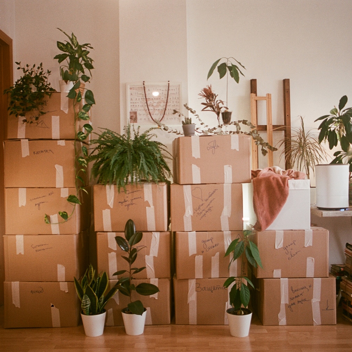 5 of the Best Services for Your Next Move | The Inspiration Edit